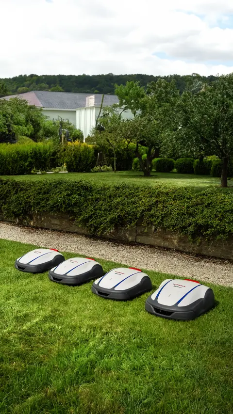 Die neuen Miimo-Modelle | Rasen und Garten